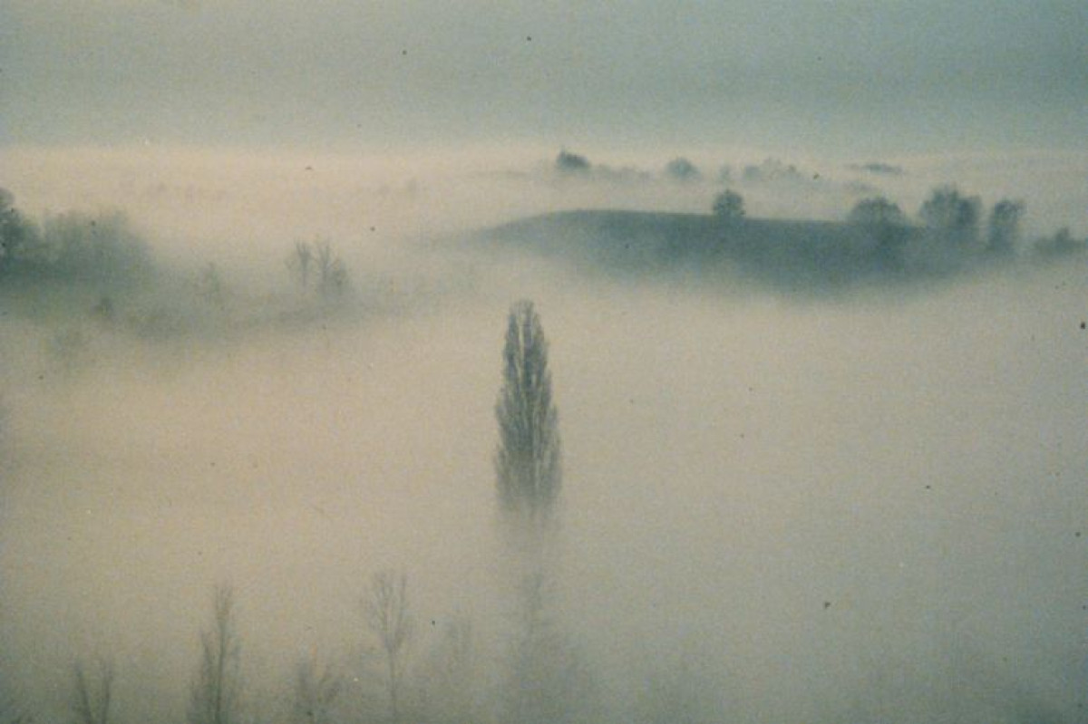 news - Entra nel vivo il 2° “Snark Festival” | Cineforum